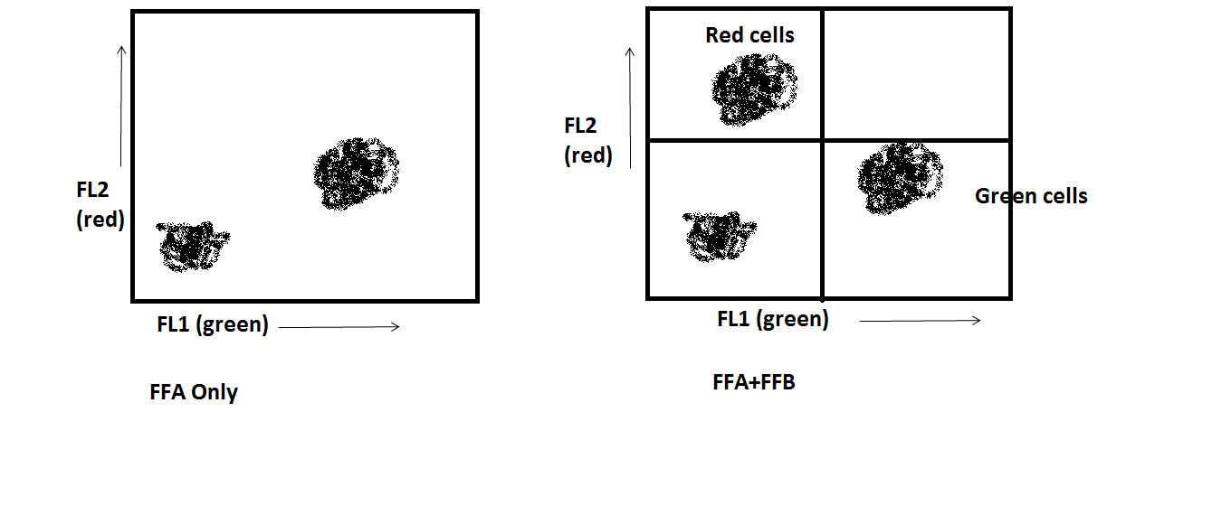 Spillover - Flow Core – Syracuse University